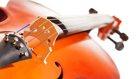 How Many Strings Does A Cello Have Musicalhow