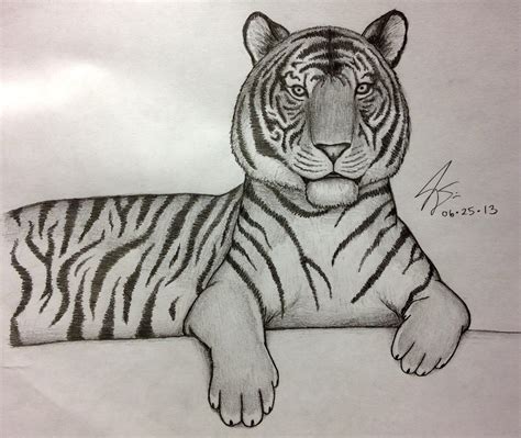 Easy Pencil Drawings Of Tigers