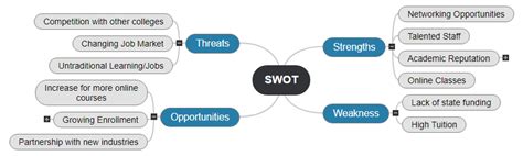 Swot 5213 Mindview Mind Mapping Software