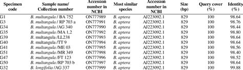 Result Of Homology Analysis Of Atpb Rbcl Igs Sequence Of Begonia Result Of Homology Analysis Of Atpb Rbcl Igs Sequence Of Begonia