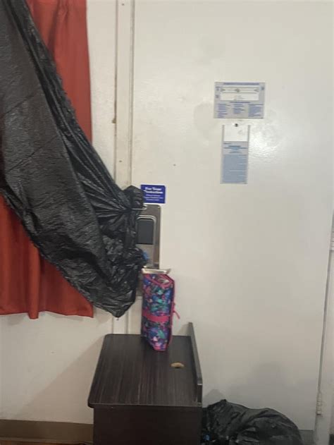 Bedbug Roach Cricket Rwhatsthisbug