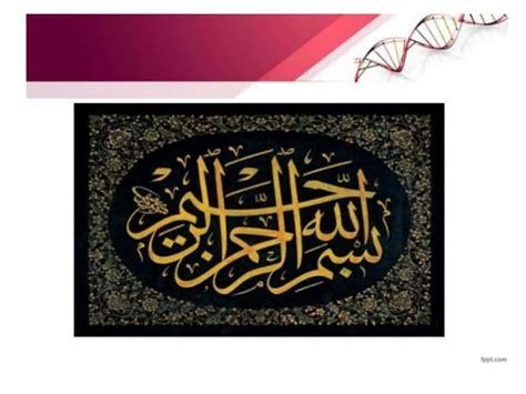 Eukaryotic Genome Organization Pptx Biological Sciences Science