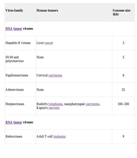 Figure 5 Virus Structure Classification