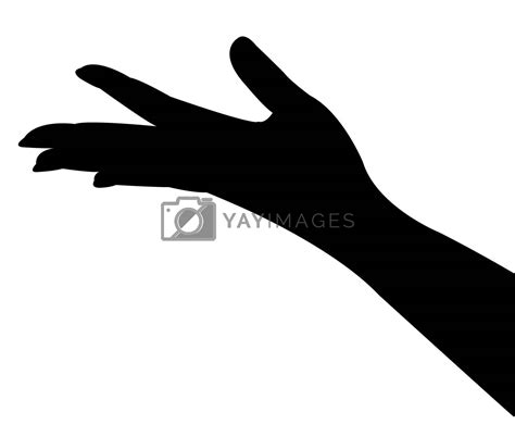 Lady Hand Silhouette Vector By Drg Vectors And Illustrations With