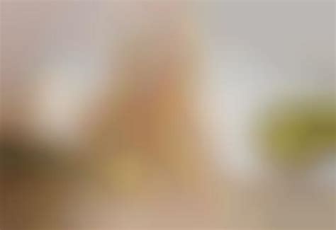 45 Terrific Tree Trunk Creations