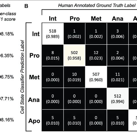 single cell classification performance a representative