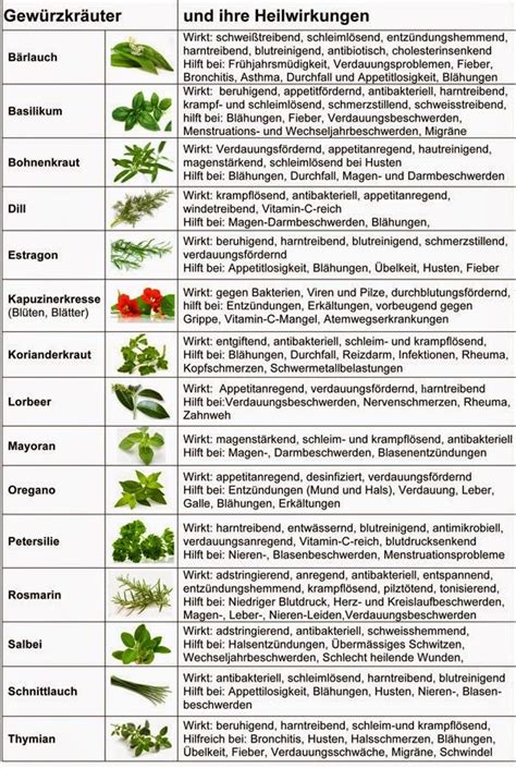 Natürlich Gesund Überblick über Die Wirkungsweisen Der Wichtigsten