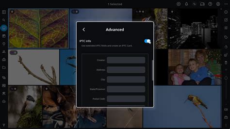 Add Metadata On Import Mylio Photos Version 243