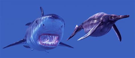 Shonisaurus Vs Megalodon