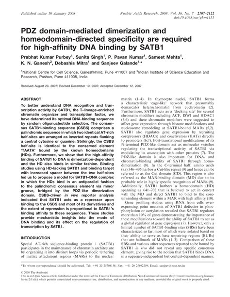 Pdf Pdz Domain Mediated Dimerization And Homeodomain Directed
