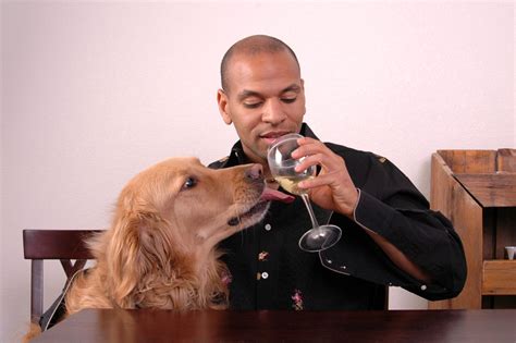 Best Ts For Wine Lovers