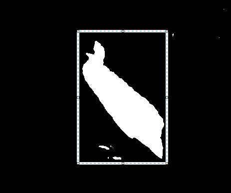 Minimal Rectangle Bounding Box Around A Region If An Image Using Matlab Stack Overflow