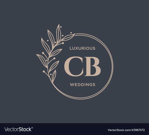 Cb Initials Letter Wedding Monogram Logos Vector Image