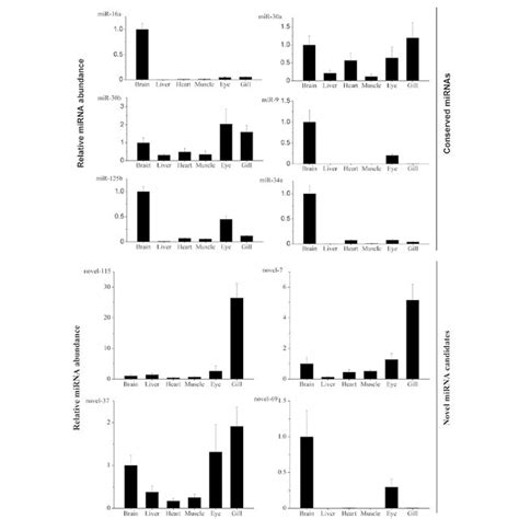 Length Distribution Of Small Rna Sequences Sequence Length Download Scientific Diagram