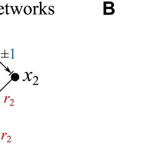 Unipartite Versus Bipartite Representations A Unipartite Graph Of A