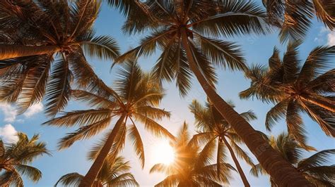 Central Palm Leaf Texture Powerpoint Background For Free Download Slidesdocs