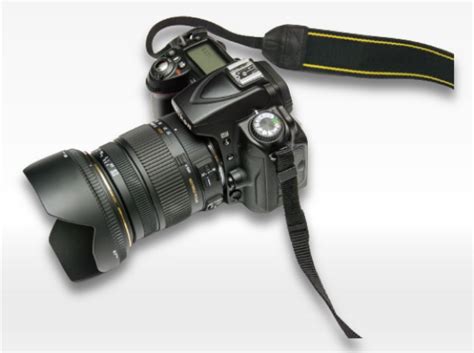 Black Friday E Commerce Tips For Your Online Store Remove Bg Blog