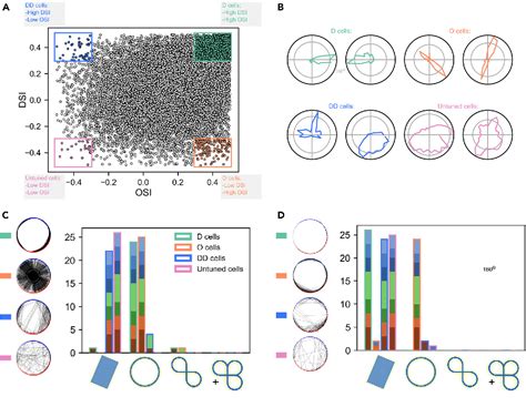 Figure 3 From Topological Structure Of Population Activity In Mouse Visual Cortex Encodes