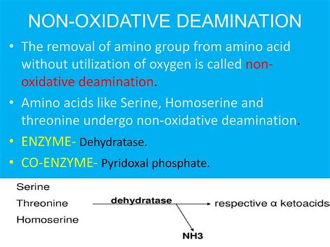 Protein Metabolism Catabolism Pptx