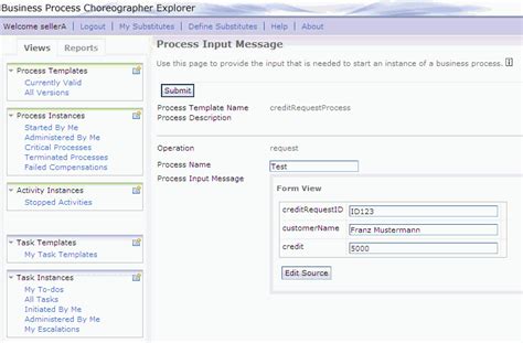 The Process Input Message View Opens