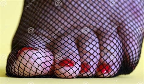 женские пальцы на ногах и рыбные сетки Стоковое Изображение изображение насчитывающей решетка