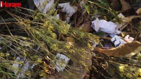 Sex Workers Invade Disused Rail Wagons Youtube