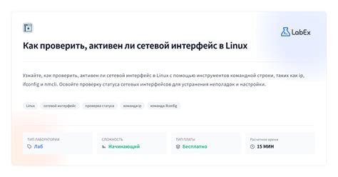 Как проверить активен ли сетевой интерфейс в Linux Labex