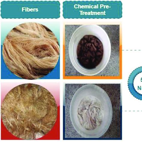 Naoh Treated Banana And Jute Fibers Download Scientific Diagram