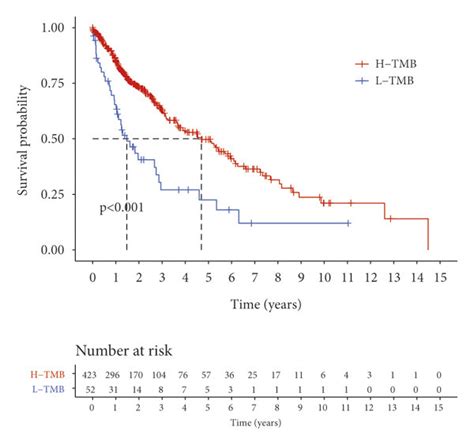 Correlation Between Aps And Tumor Mutation Burden Tmb A The Download Scientific Diagram