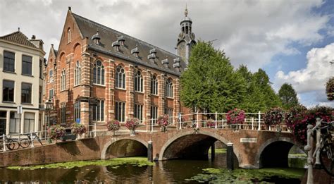 Dissertation Defense Disability And Its Affective Affordances