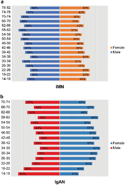 Variations In The Sex Ratio According To Age For IMN A And IgAN B Download Scientific