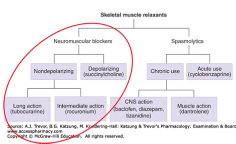 Estación De Televisión Inhalar Huella Neuromuscular Blocking Agents Pionero Cerebro Clima