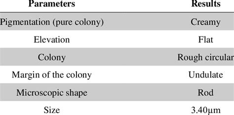 Morphological Characteristics Of Strain Fds On Solid Media Download Scientific Diagram