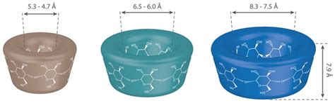 Exploring The Efficacy Of Methylated Gamma Cyclodextrin M γ Cd In The Removal Of Heavy Metals