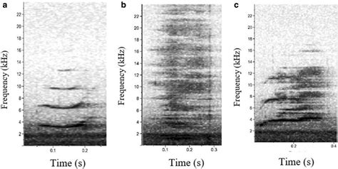 Spectrograms Fft 1024 50 Overlap Hamming Window Of Each Type Of