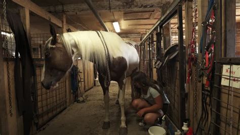 499 Teenage Girls At The Horse Stable Stock Videos Footage And 4k Video