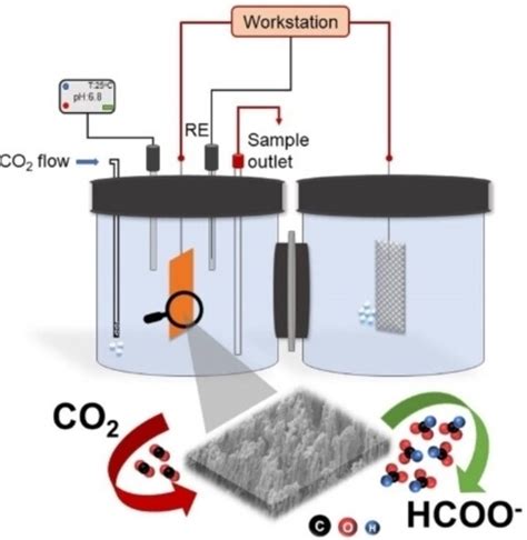 Electrocatalytic Performance Of Interconnected Self‐standing Tin