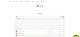 Best WordPress Dropbox Plugins Code Geekz