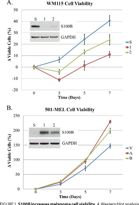 Figure 1 From Complex Formation Between S100b Protein And The P90 Ribosomal S6 Kinase Rsk In