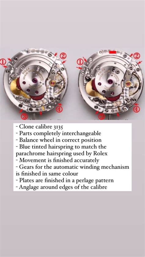 Rolex Authentication Check Watch Ap Pp Rm Verify Verification Authentic Luxury Watches On