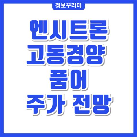코덱스200 주가 및 배당 자세히 살펴볼게요