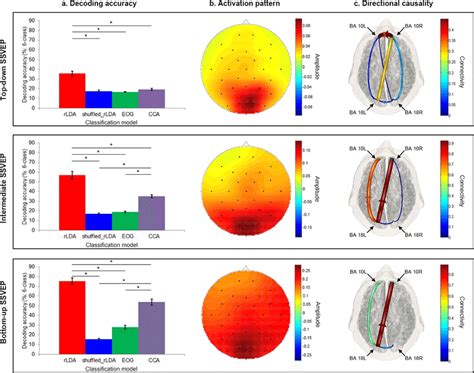 Decoding Accuracies Topographical Activation Patterns And Granger