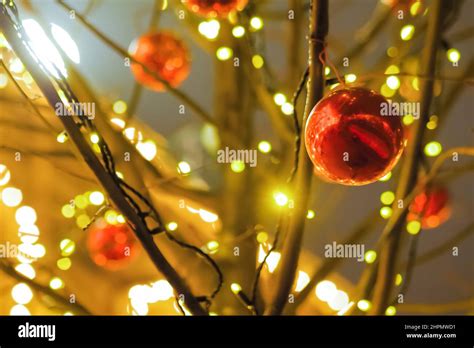 Red Balls On Plants At Jorja Helms Blog