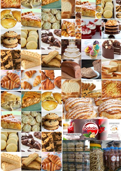 Daily Bite Bakery Tortoisepath Celebrations 🎉