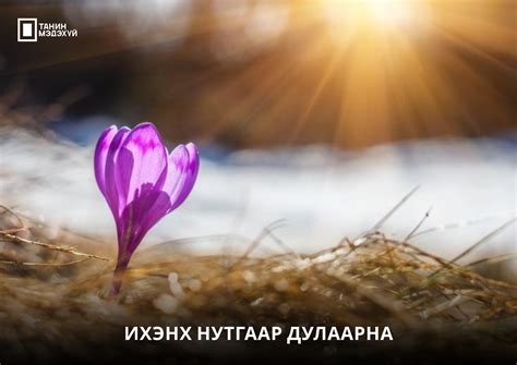 Tm Television Нутгийн баруун өмнөд хэсгээр өнөөдөр 8 20 цаг хүртэл үүлшинэ бусад нутгаар