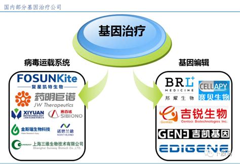 华大基因甲基化华大基因研究院甲基化去华大基因工作好吗第4页大山谷图库