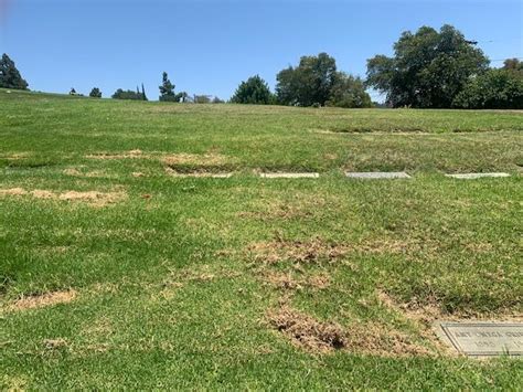 Ella Mae Casler Wallis 1880 1948 Find A Grave äreminne