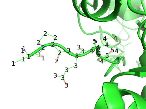 ラベルの設定 Label Pymol Book