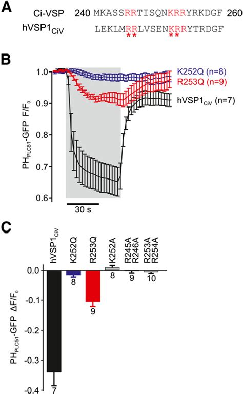 Figure 4 From A Human Phospholipid Phosphatase Activated By A