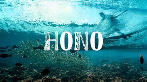 Hono Nuit De La Glisse Tv